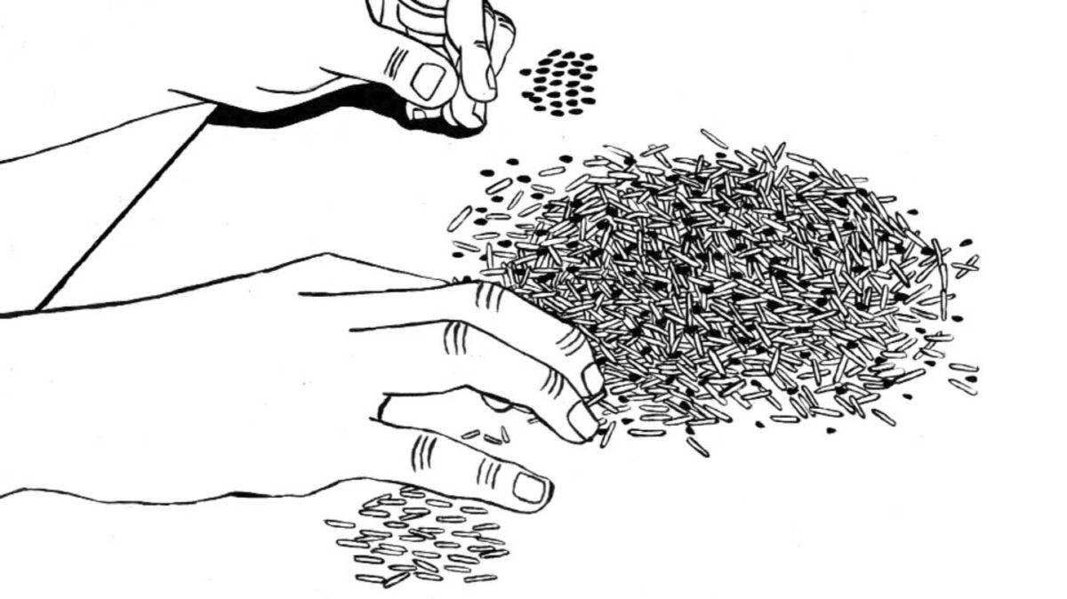 Marina Abramovic – MAI presents : Counting the Rice – Centre d’Art ...